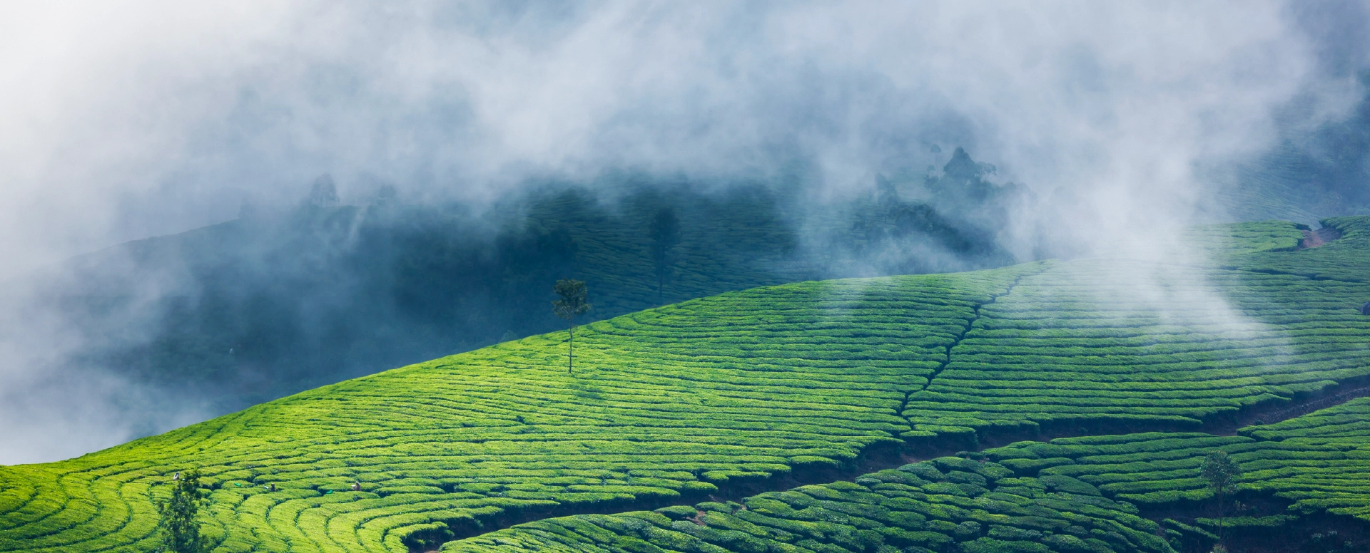 Karma Experience India | Delivering unmatched holiday experiences at ...